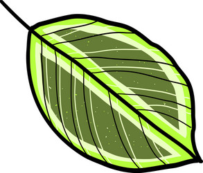 Cartoon big leafe plant on white background Vector Image