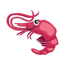 Cute shrimp cartoon Royalty Free Vector Image - VectorStock