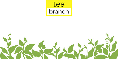 Tea leaves realistic green and dried Royalty Free Vector