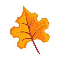 Orange fall leaf Royalty Free Vector Image - VectorStock