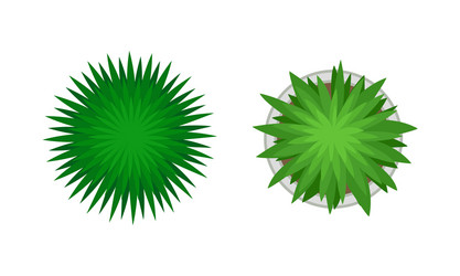 Shrubs Plan View Vector Images (72)