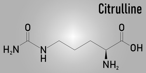 Citrulline amino acid molecule skeletal formula Vector Image