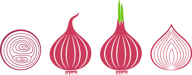 Onion flat design icon Royalty Free Vector Image