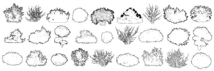 Set of bush and bare decorative garden Royalty Free Vector