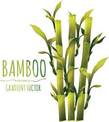 Bamboo Vector Images (over 42,000)