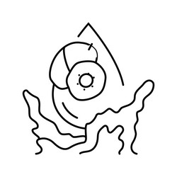 Palm Kernel Vector Images (over 110)