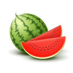 Watermelon Vector Images (over 71,000)