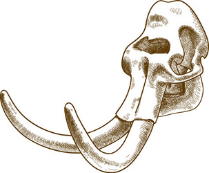 Mammoth logo Royalty Free Vector Image - VectorStock