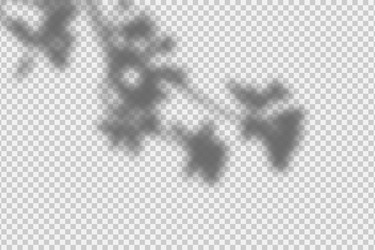 Shadow Overlay Vector Images (over 9,000)