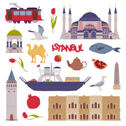 Traditional istanbul symbols and attribute Vector Image