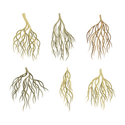 Branching root as tree part below the surface Vector Image