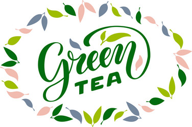 Green tea lettering Royalty Free Vector Image - VectorStock