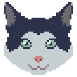 Cat face close up pixel art meme Royalty Free Vector Image
