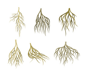 Branching root as tree part below the surface Vector Image