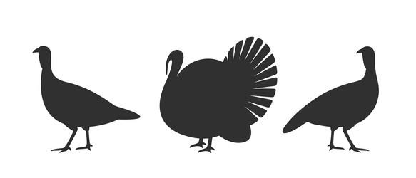 Turkey Vector Images (over 67,000)