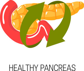 Pancreas Vector Images (over 6,000)