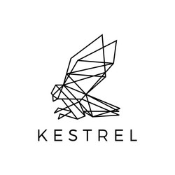 Flying kestrel bird logo icon Royalty Free Vector Image