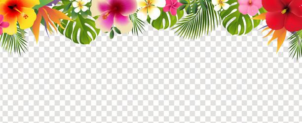 Palm leaves and flowers set frame isolated white Vector Image