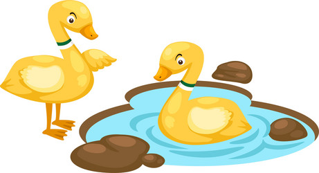 Ugly Duckling Vector Images (71)