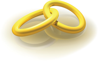Gold wedding rings isolated Royalty Free Vector Image