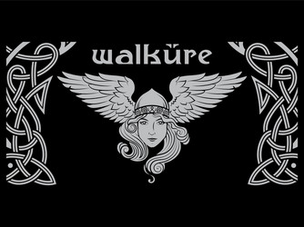 Viking design valkyrie in a winged helmet image Vector Image