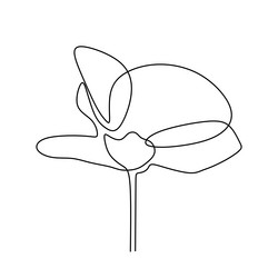 Flower wreath line art with abstract shape Vector Image