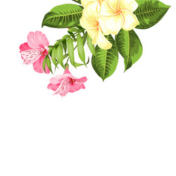 Floral background in spring colors flowers Vector Image