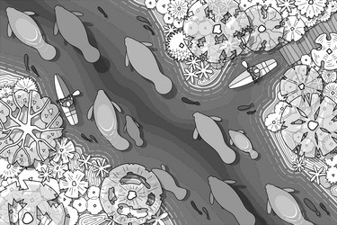 Animal Top View Vector Images (over 2,400)