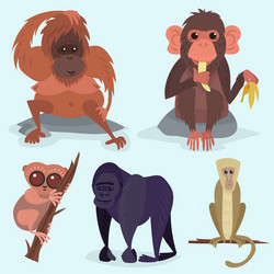 Gibbon primate mammal monkey in wildlife Vector Image