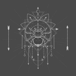 Spider tarantula Royalty Free Vector Image - VectorStock