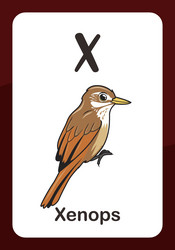 Letter X Flashcards Vector Images (over 140)