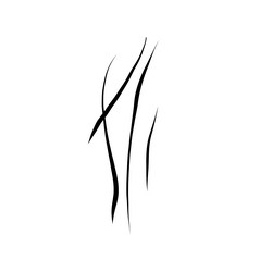 Lion Scratch Vector Images (over 690)