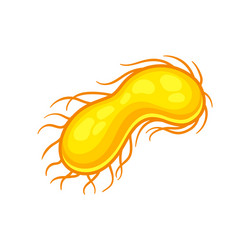 E Coli Vector Images (over 290)