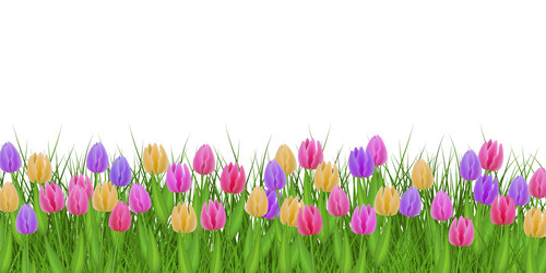 Spring grass seamless border with flowers Vector Image