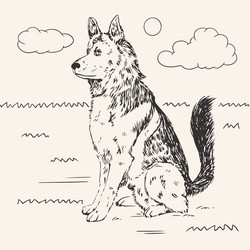 Hand drawn german shepherd outline isolated Vector Image