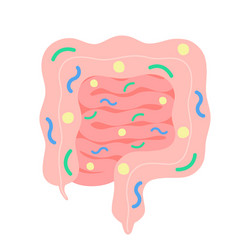 Cartoon gut human body organ intestine character Vector Image