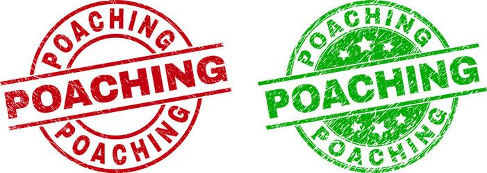 Poaching Vector Images (over 1,000)