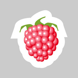 Raspberry Vector Images (over 28,000)