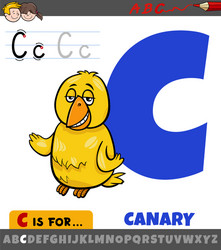 Letter d lowercase tracing dodo bird Royalty Free Vector