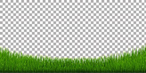 Grass border set isolated Royalty Free Vector Image