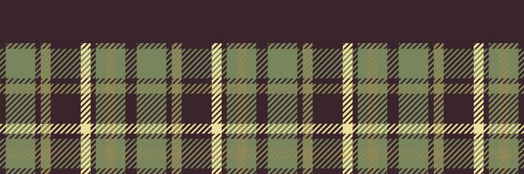 Military green check plaid border seamless Vector Image