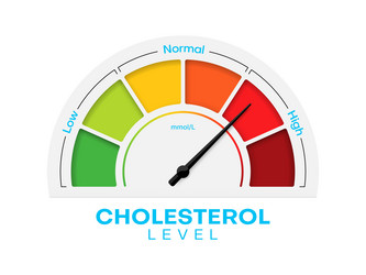 Cholesterol test brochure template layout flyer Vector Image