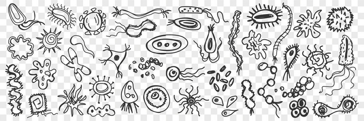 Bacteria germ sketch hand drawn Royalty Free Vector Image