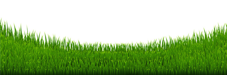 Grass borders big set Royalty Free Vector Image