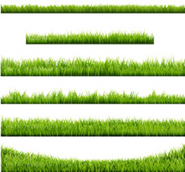 Grass borders set Royalty Free Vector Image - VectorStock