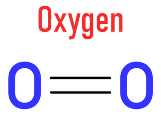 Elemental oxygen o2 molecule skeletal formula Vector Image