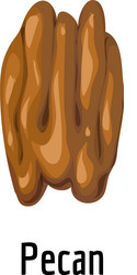 Pili nut icon cartoon style Royalty Free Vector Image