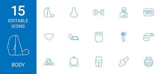 8 body icons Royalty Free Vector Image - VectorStock