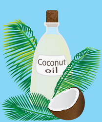 Natural coconut oil poster banner template Vector Image