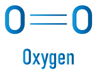 Elemental oxygen o2 molecule skeletal formula Vector Image